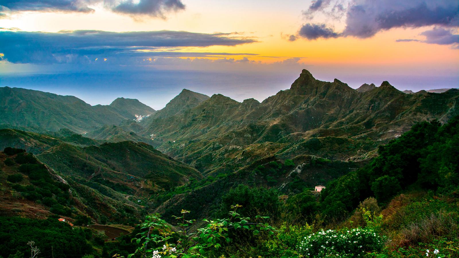 Parc Rural D Anaga Salut îles Canaries
